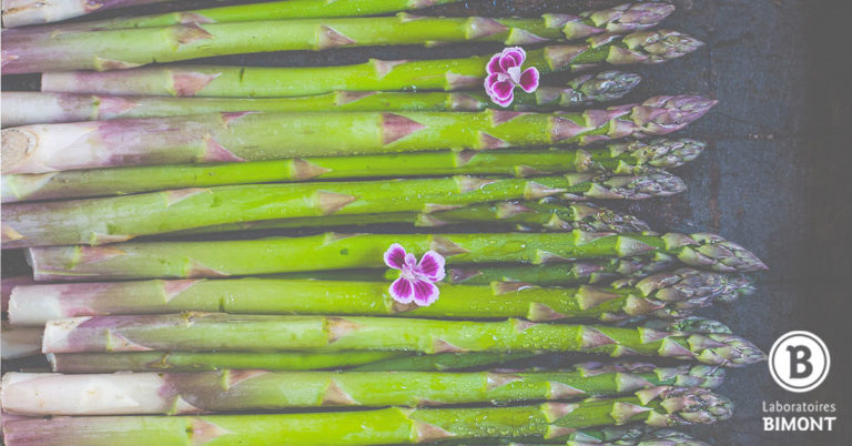 Saveur amère: un goût au multiples vertus - Blog Laboratoires Bimont